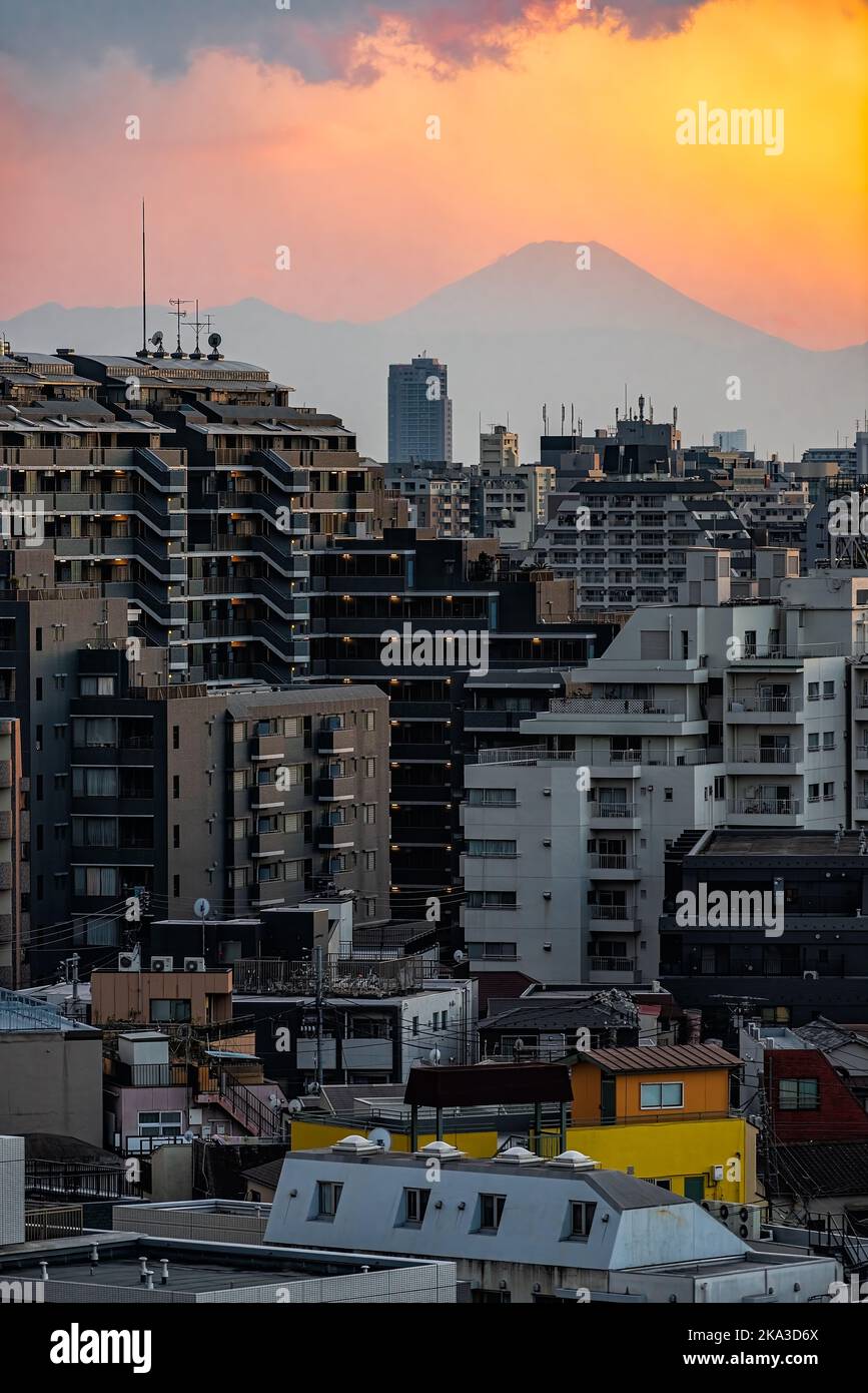 Shinjuku of Tokyo, Japan cityscape skyline at orange golden glowing ...
