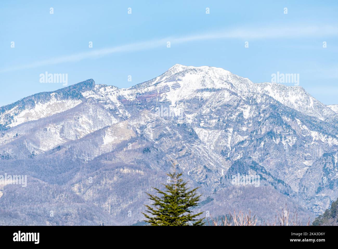 View on snowy snow-capped mountain covered with pine trees forest in ...