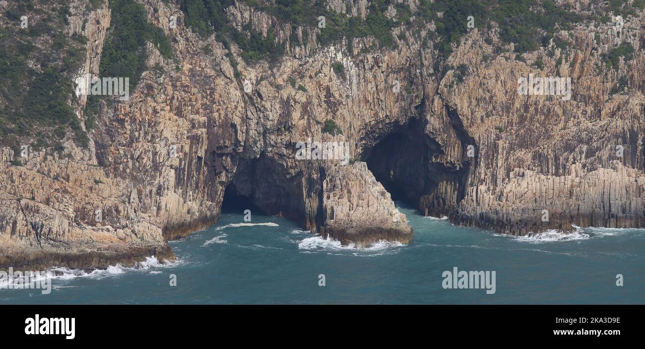 The Agriculture, Fisheries and Conservation Department (AFCD) announced ...