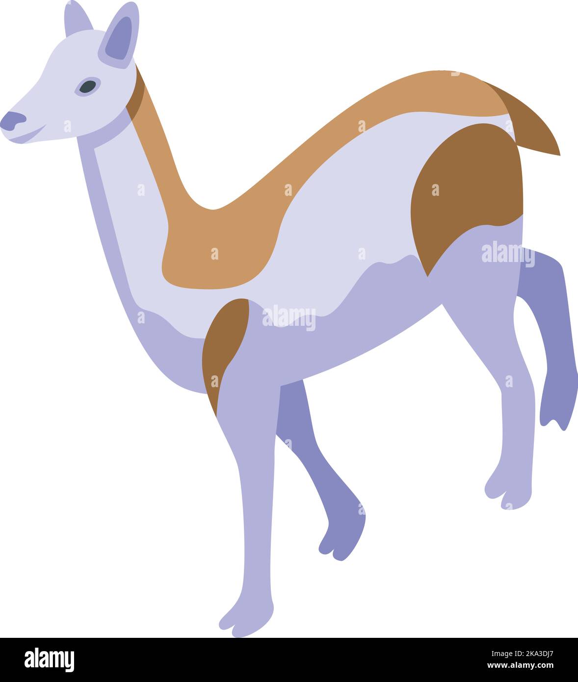 Lama animal icon isometric vector. Cute lama. Peru animal Stock Vector ...