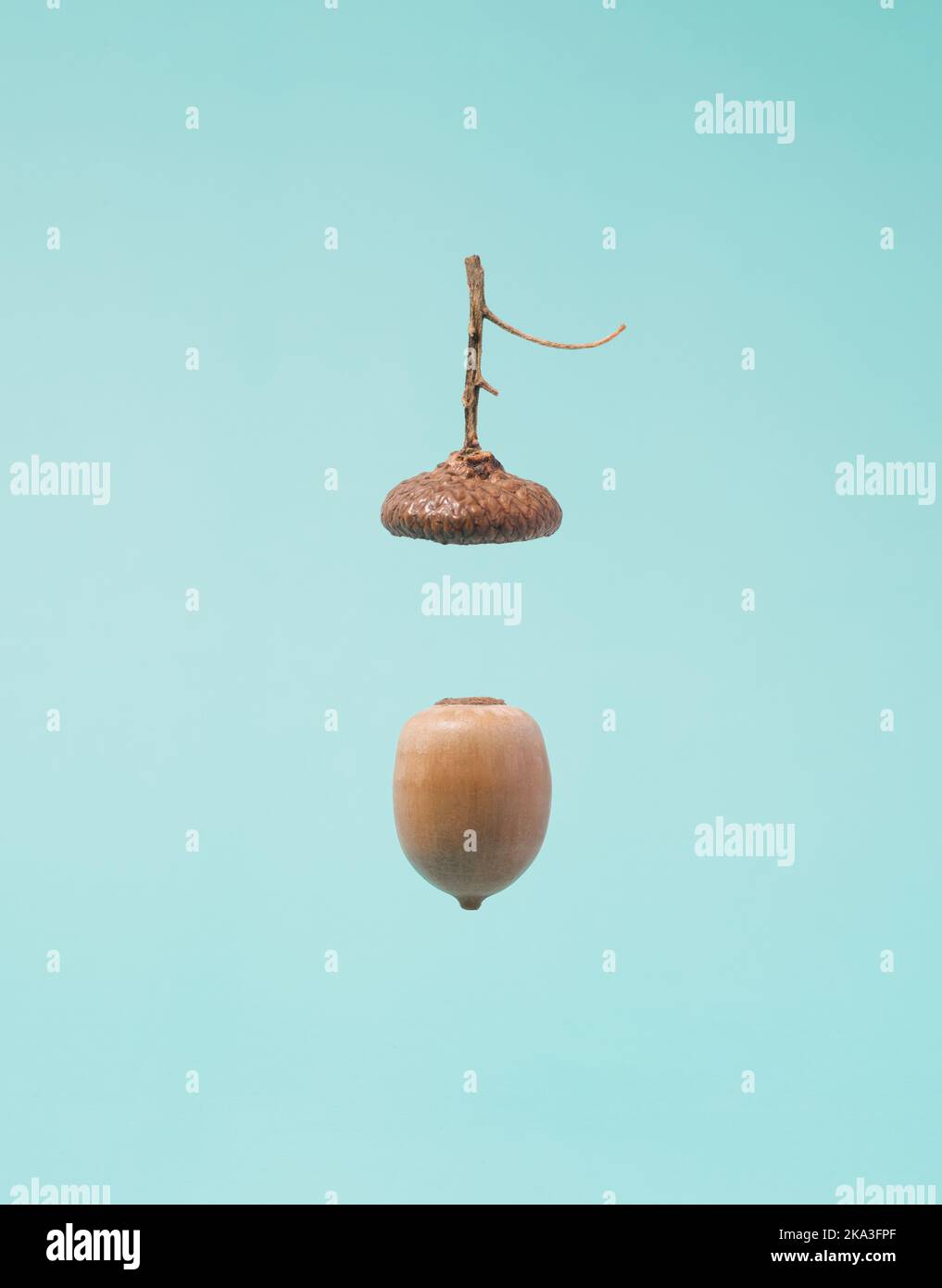 Tree seed floating hi-res stock photography and images - Alamy