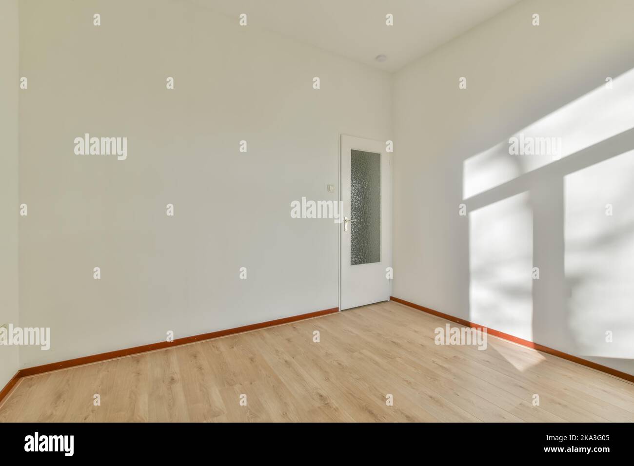 Interior of spacious empty light room with white walls and ceiling and ...