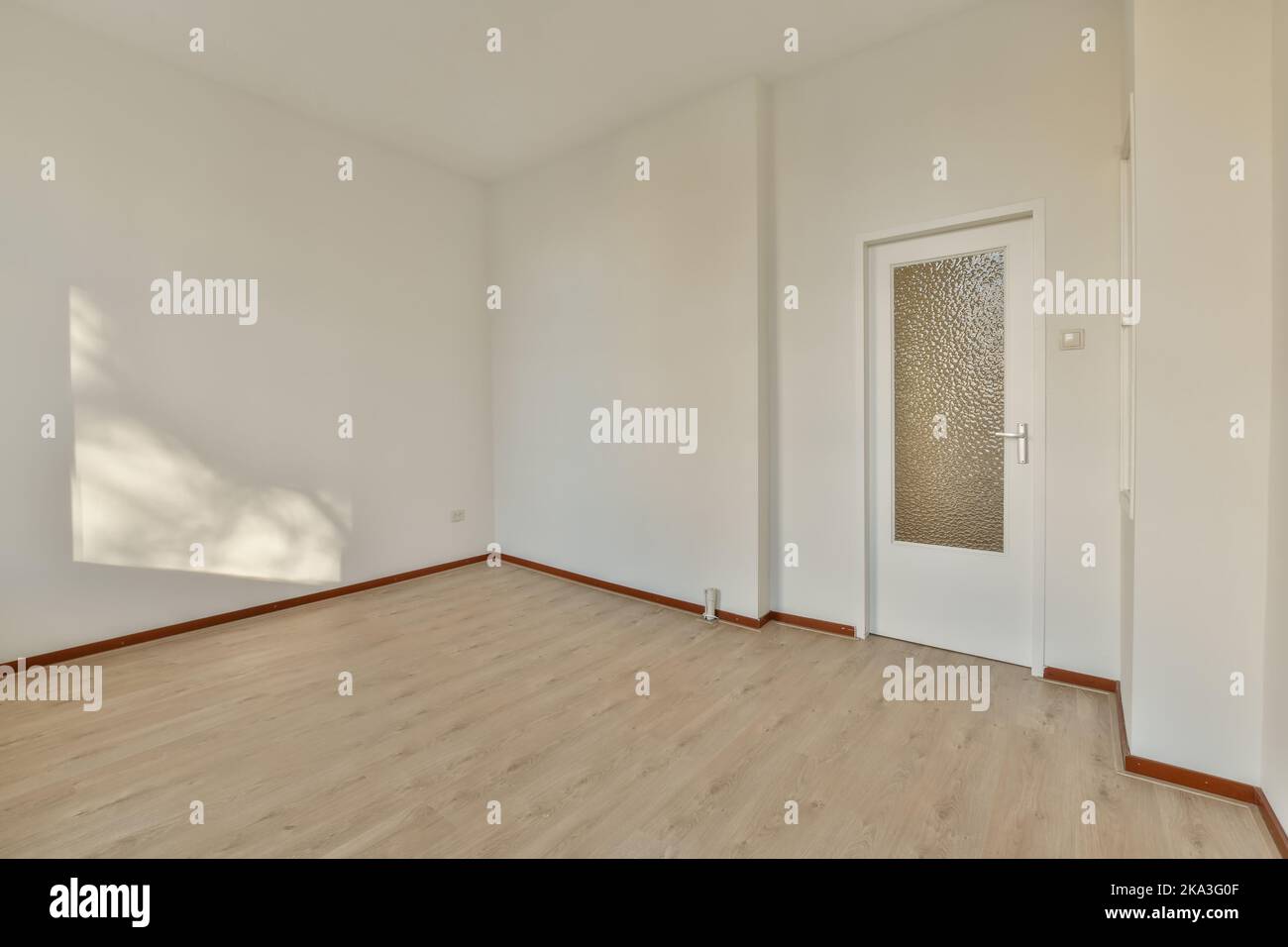 Interior of spacious empty light room with white walls and ceiling and ...