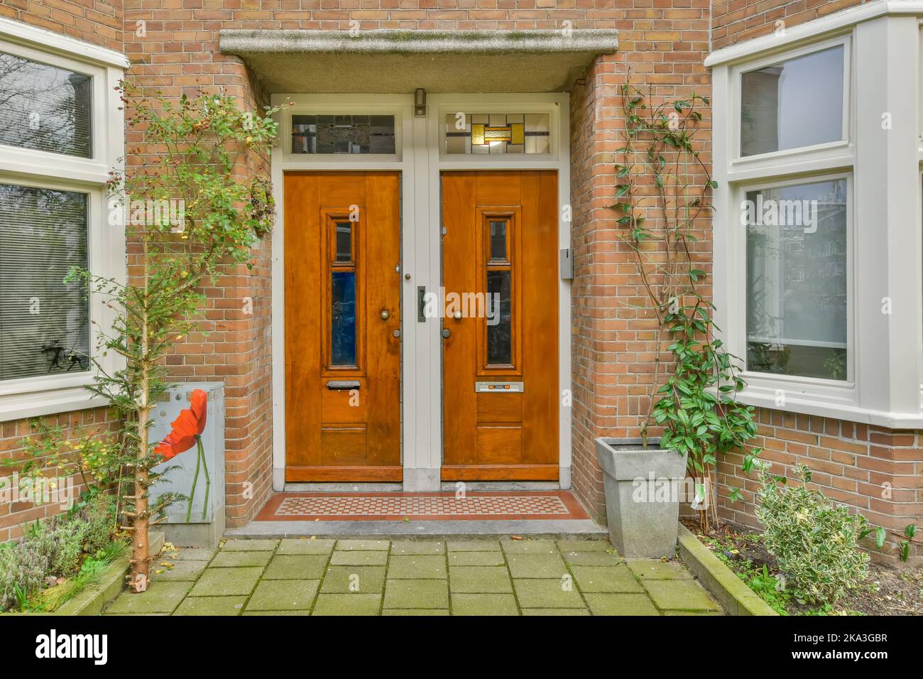Front view of some brown entrance doors to a house Stock Photo - Alamy
