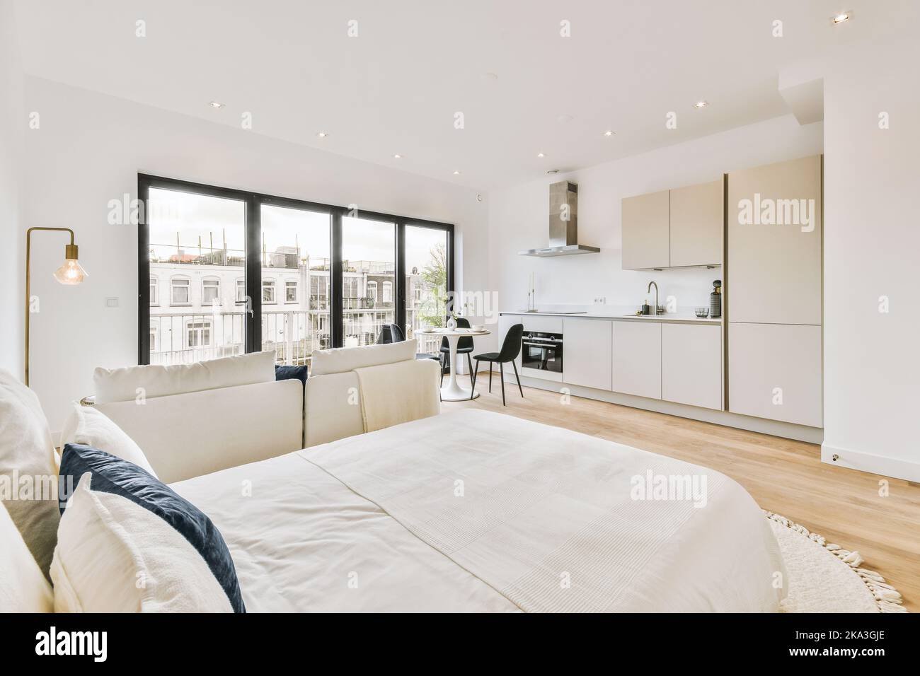 Modern open plan bedroom studio flat in light living room with sofa and ...