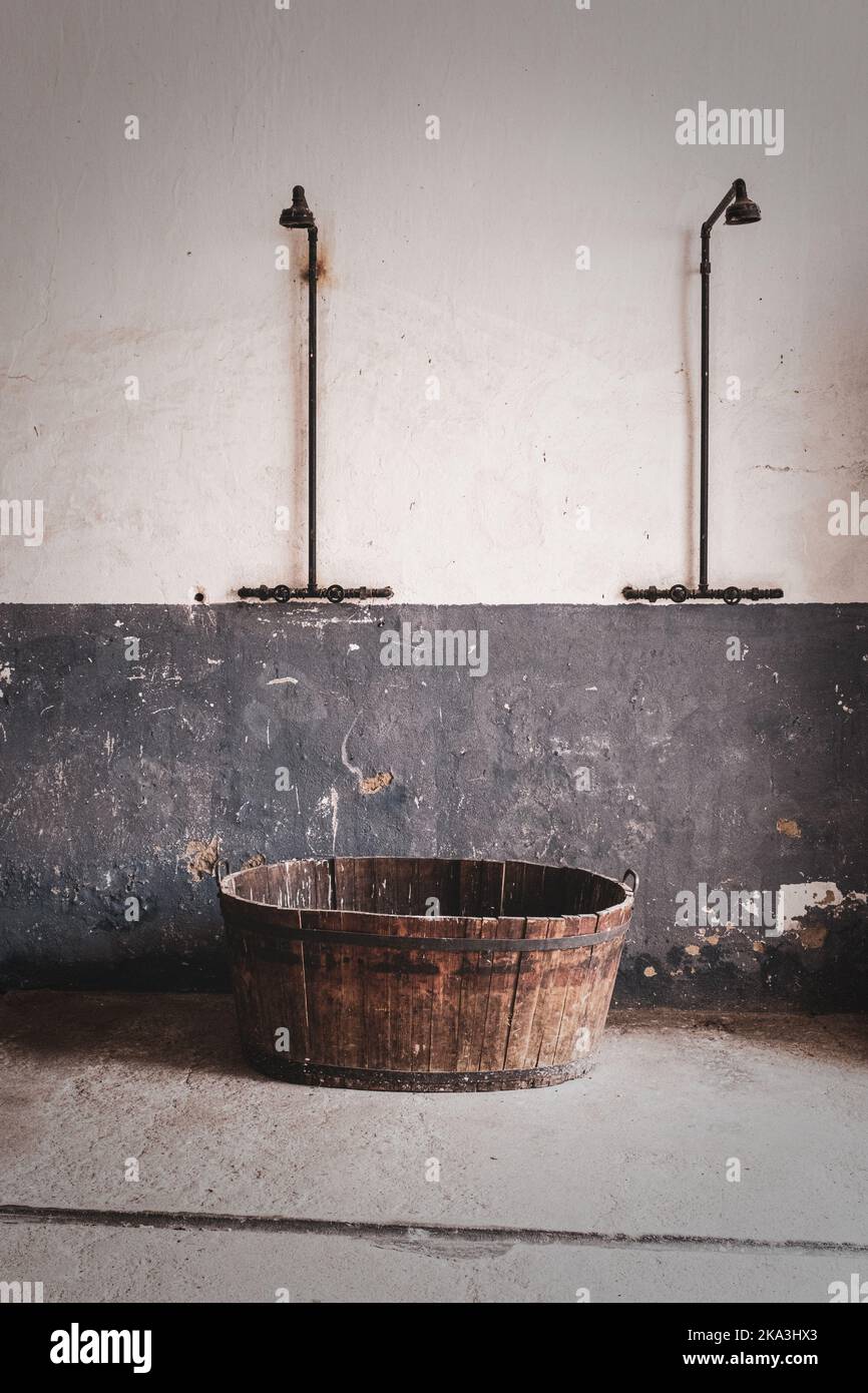 Heads in the trough hi-res stock photography and images - Alamy