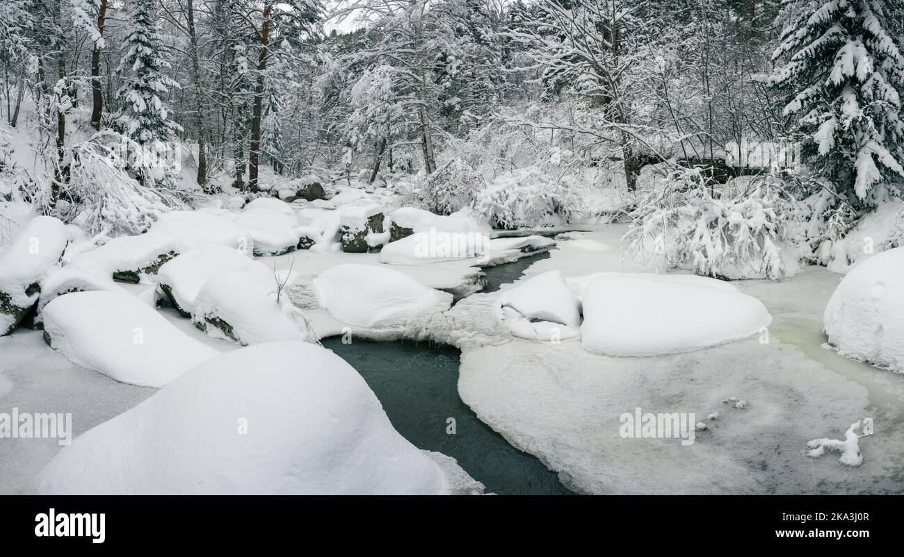 Winter landscape with fair trees under the snow Stock Photo - Alamy