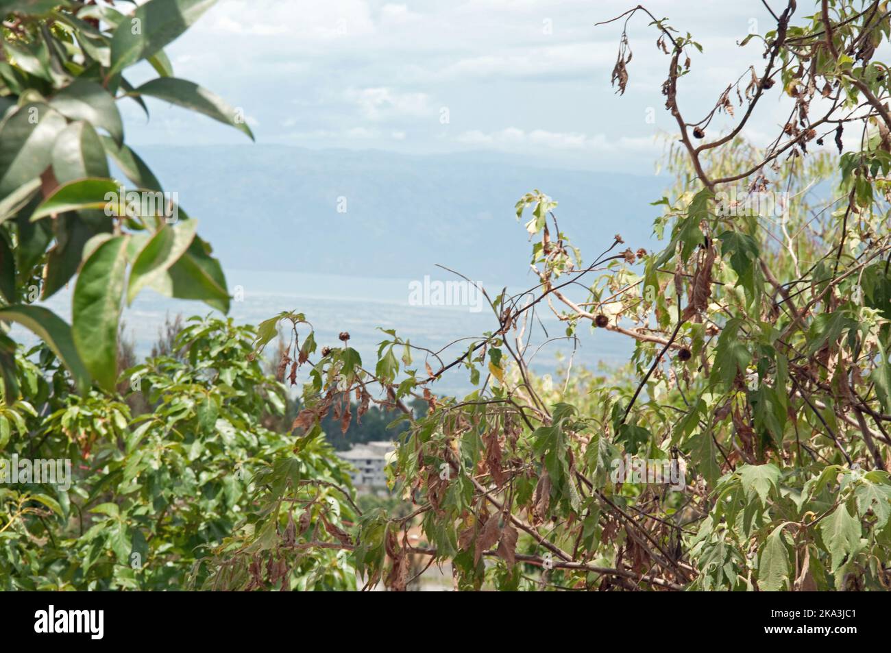 View to Etang Saumetre (Lake Saumetre), Haiti Stock Photo - Alamy