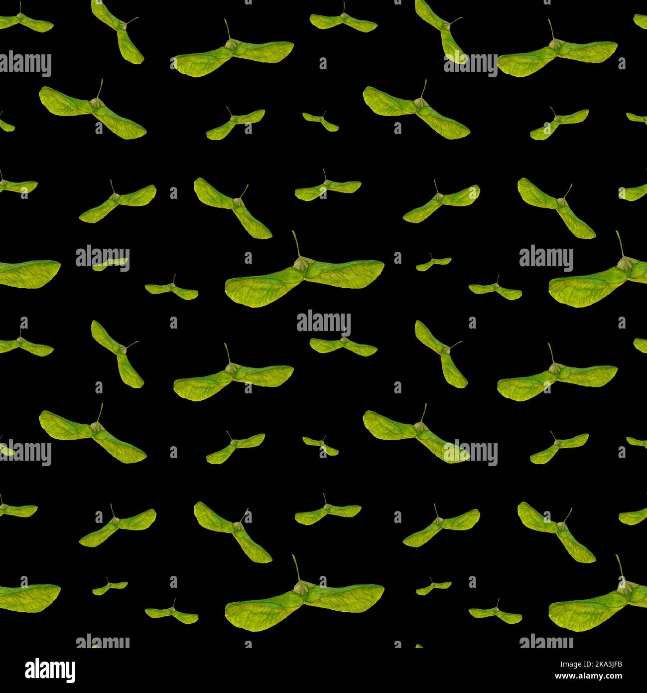 Helicopter green leaf a black seamless pattern Stock Photo - Alamy