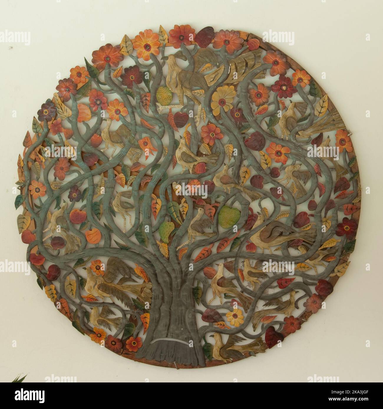 Tree of Life, Port-au-Prince, Haiti Stock Photo - Alamy