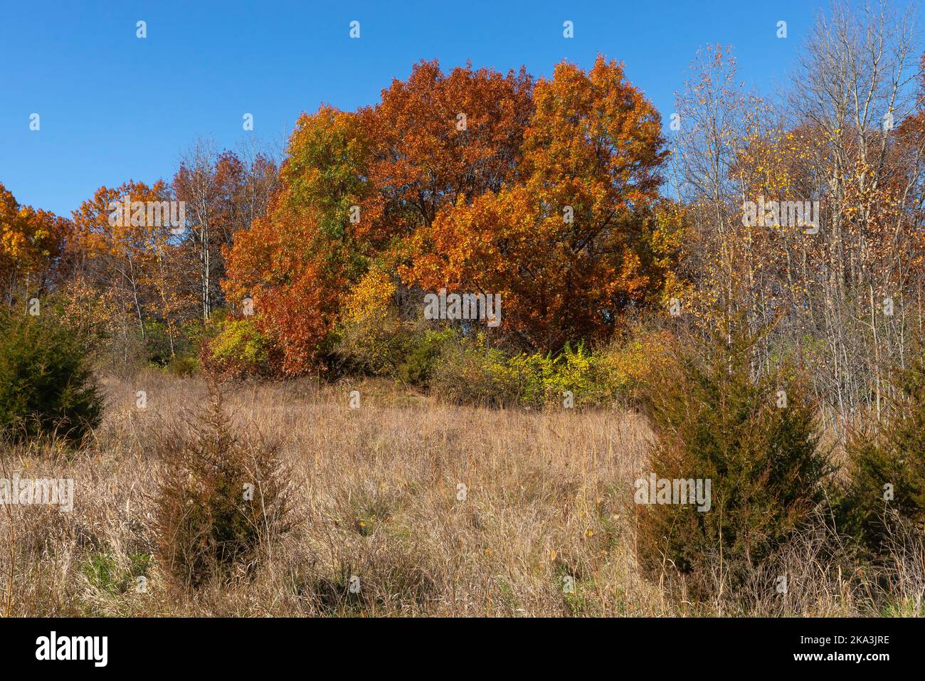 Autumn landscape along the hiking trail at Buffalo Rock State Park ...