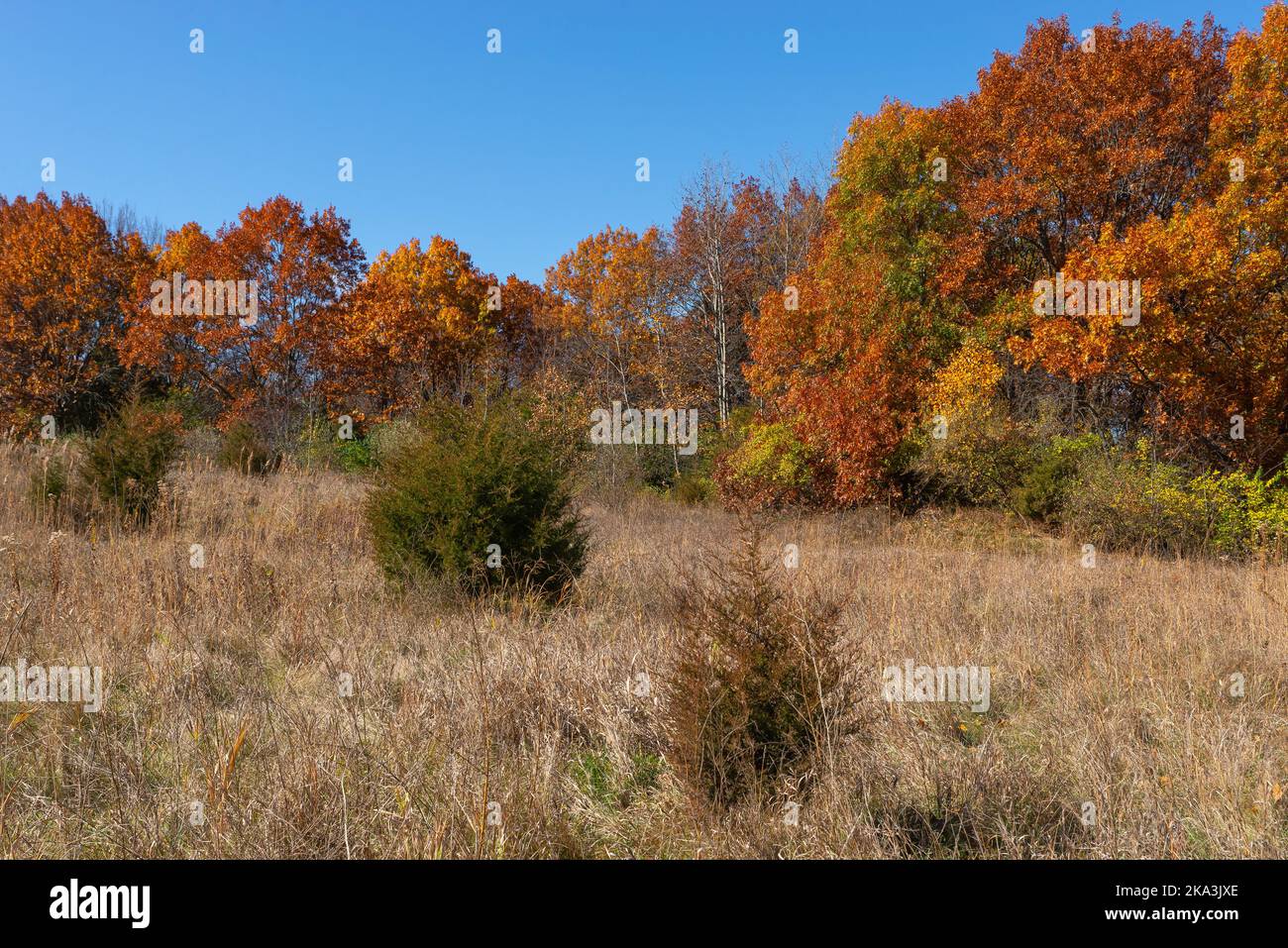 Autumn landscape along the hiking trail at Buffalo Rock State Park ...
