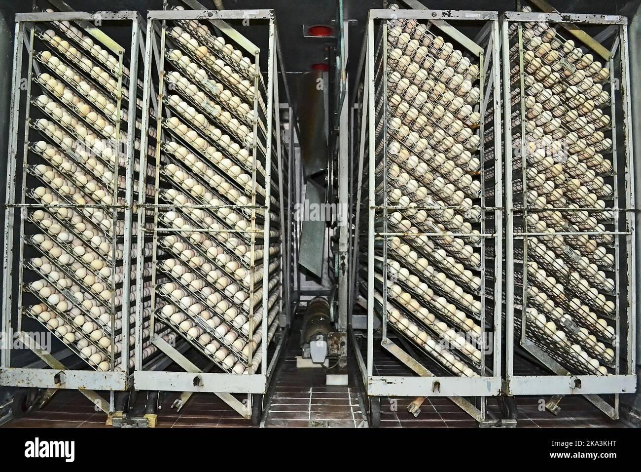 An incubator for hatching chicken eggs Stock Photo - Alamy