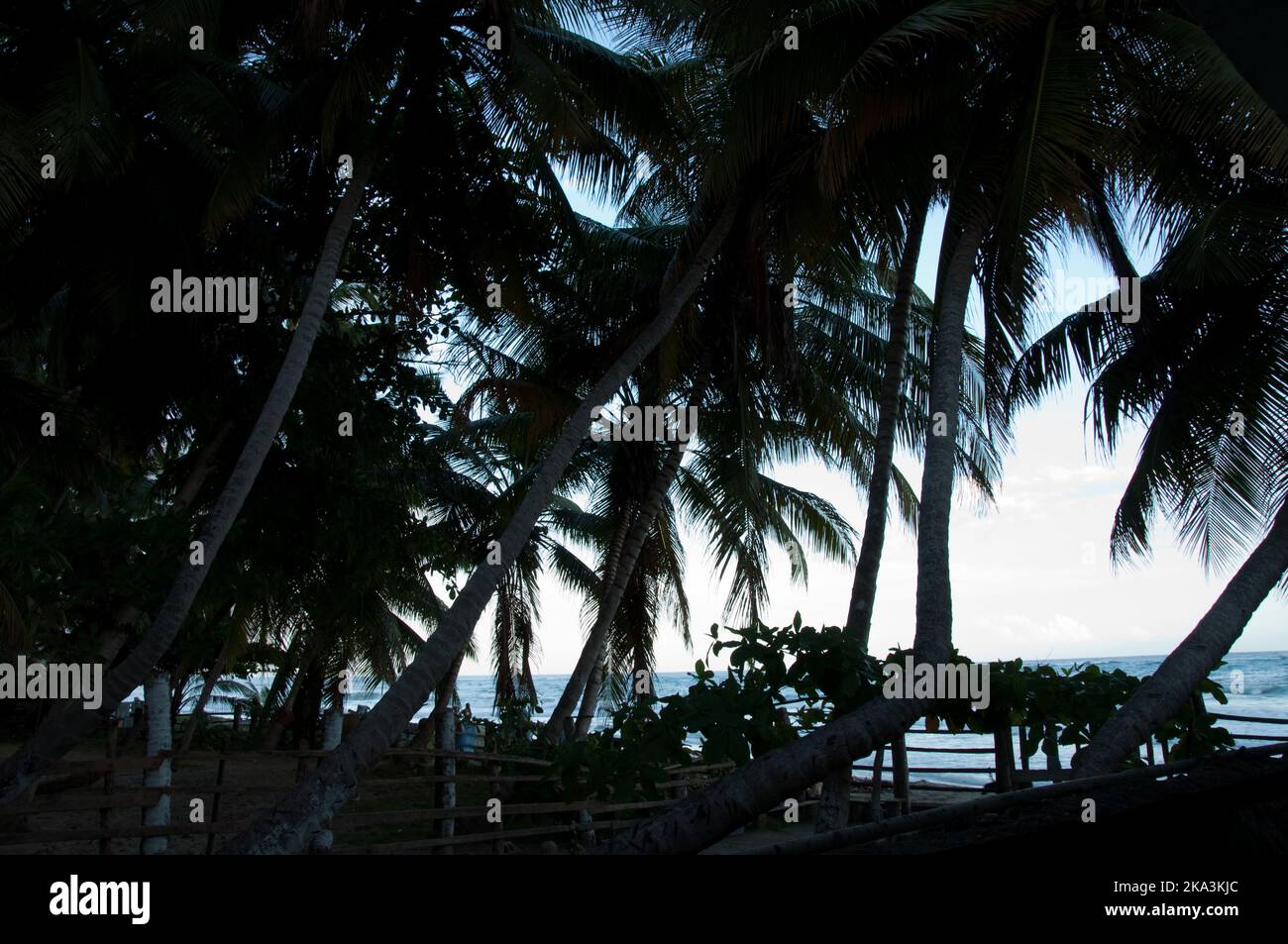 Beach scene at dusk, Jacmel, Haiti Stock Photo - Alamy