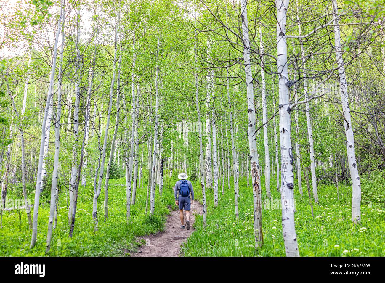 Back of young man person walking on Booth falls trail in White River ...