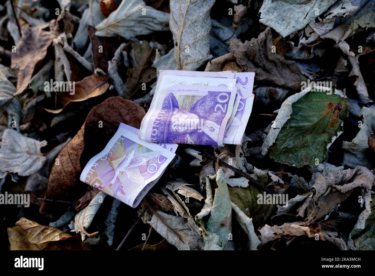 Autumn inflation hi-res stock photography and images - Alamy