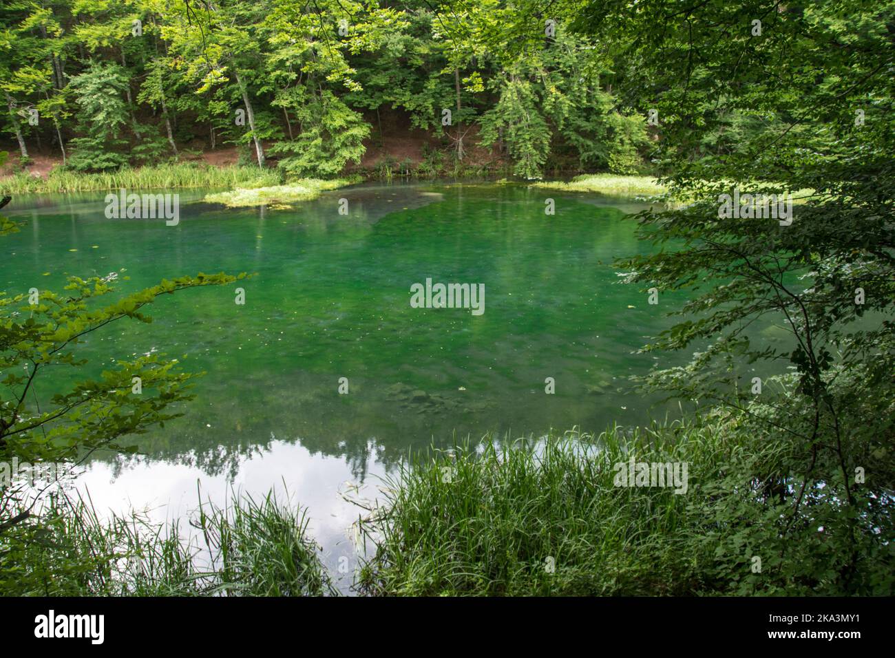 Grza lake hi-res stock photography and images - Alamy