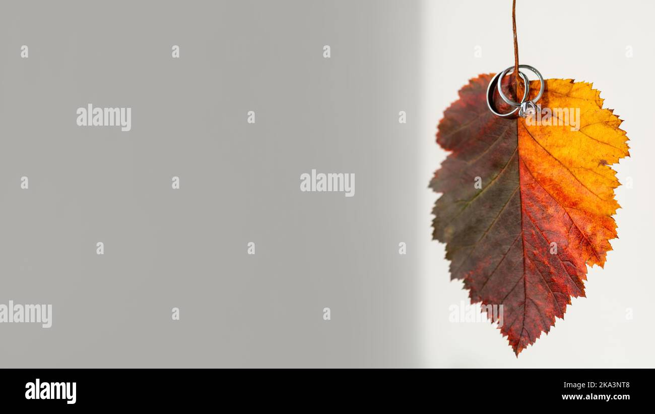 Bright red fallen leaf with pair of wedding rings. Engagement ring with ...