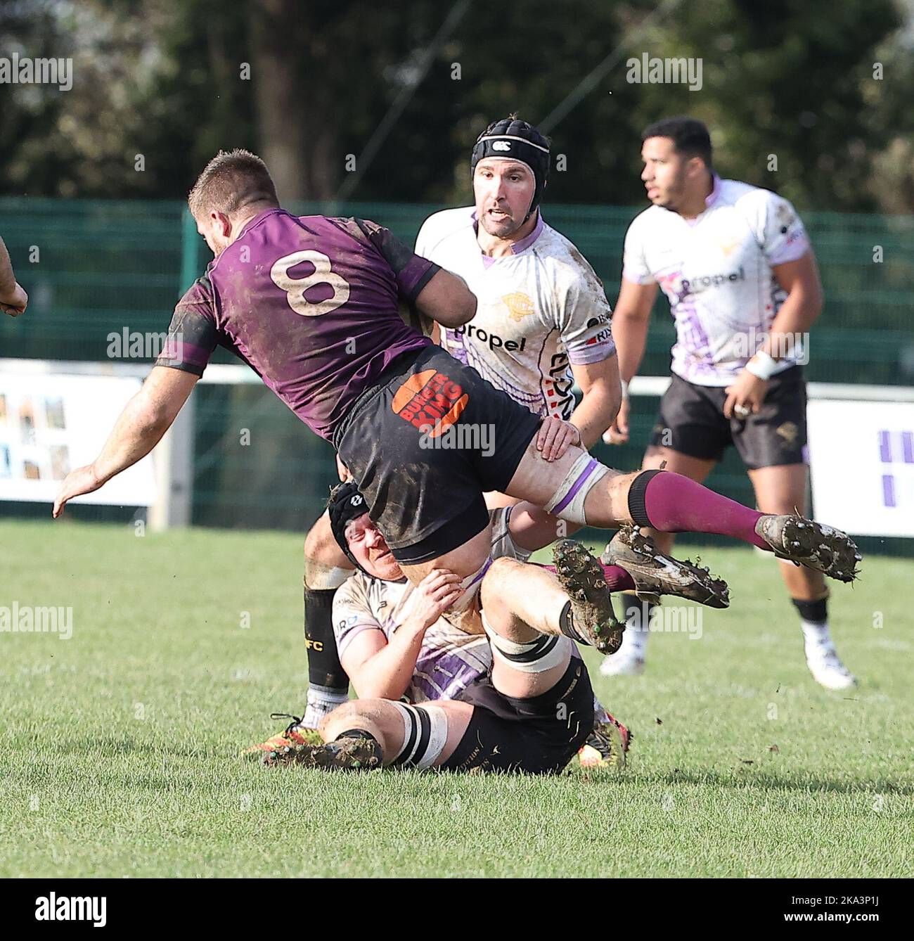 Season 2022 23 nick cairns hi-res stock photography and images - Alamy