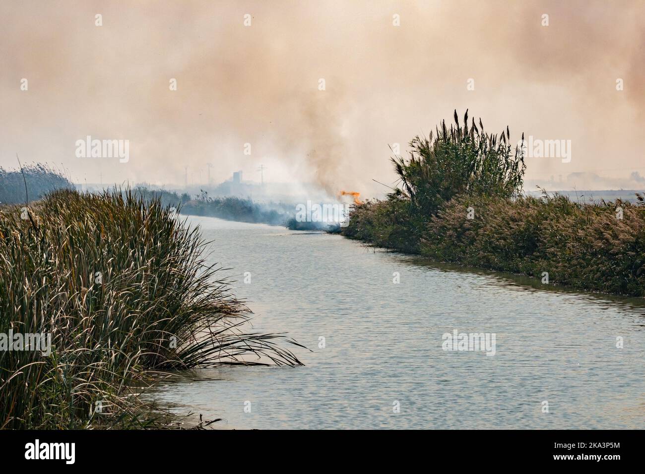burning rice farmers straw in Albufera de Valencia Spain, burning rice ...
