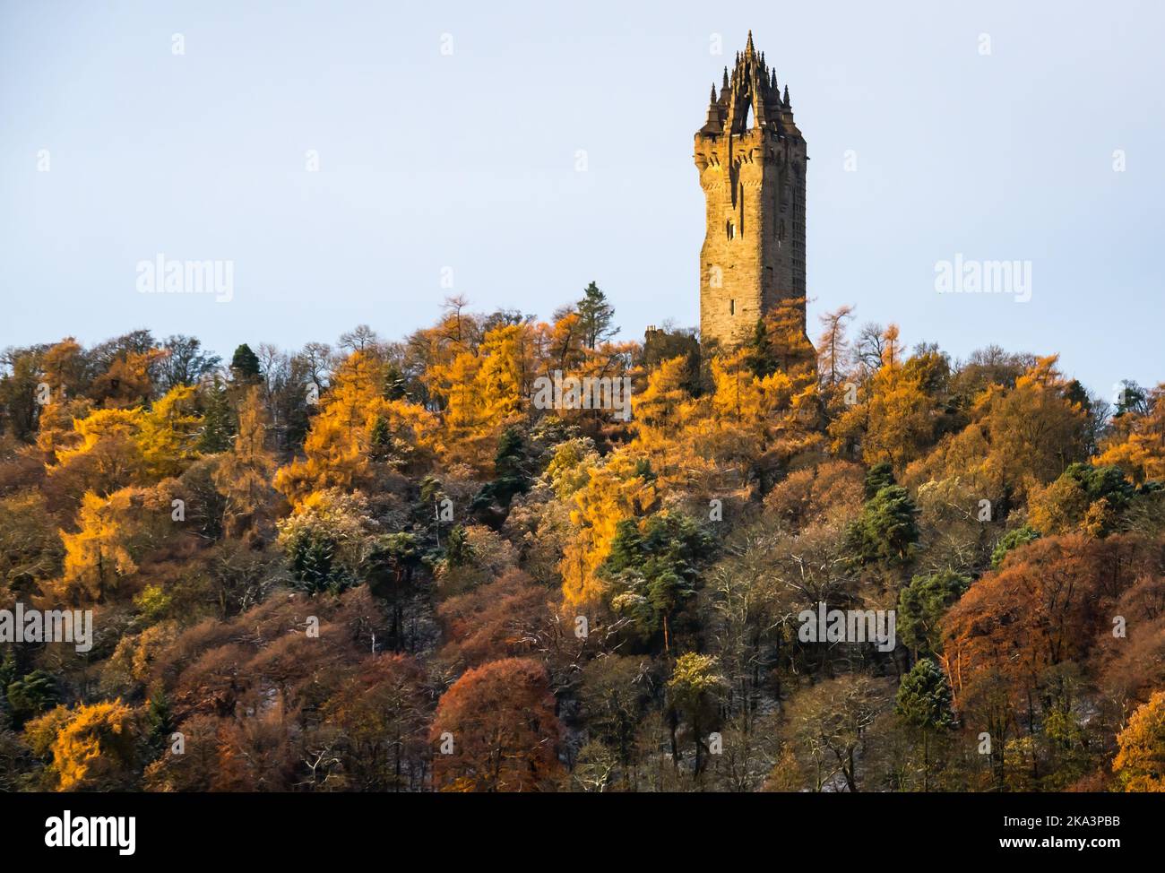 Autum tree colours at Abbey Craig and Wallace Monument, Stirling ...