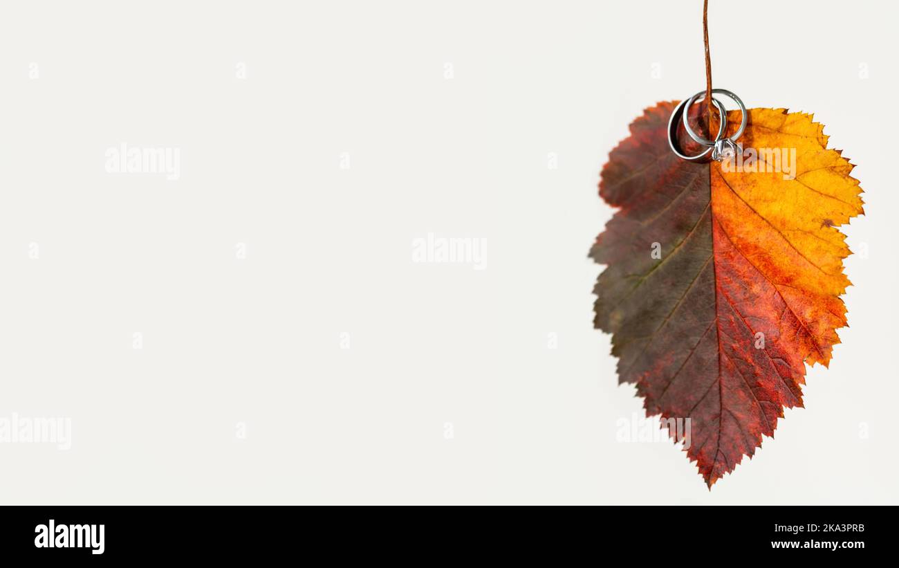 Bright red fallen leaf with pair of wedding rings. Engagement ring with ...