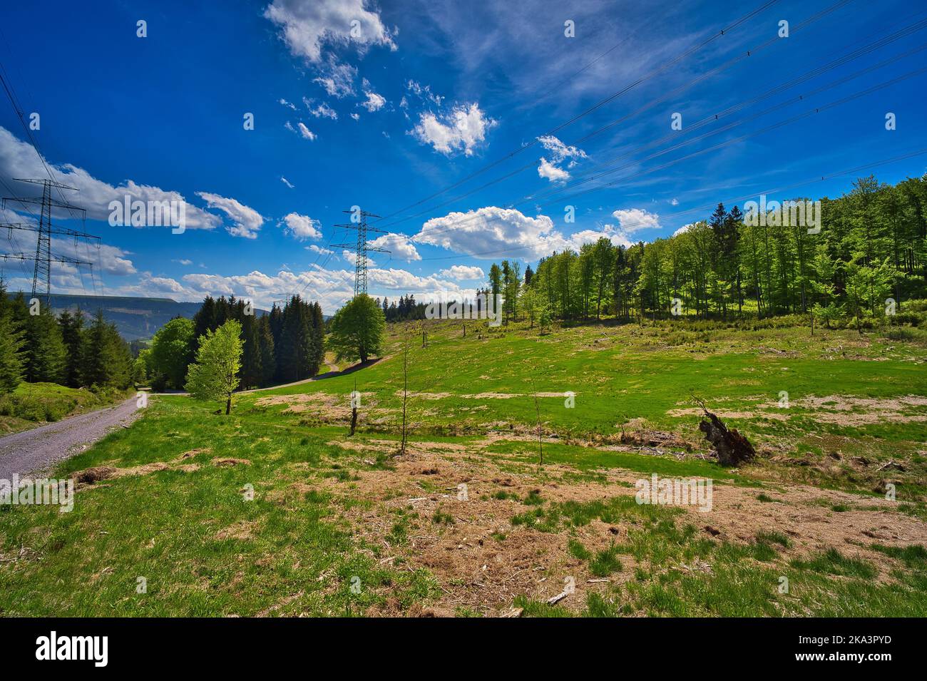 A natural view of a racetrack in a forest under a blue sky Stock Photo ...