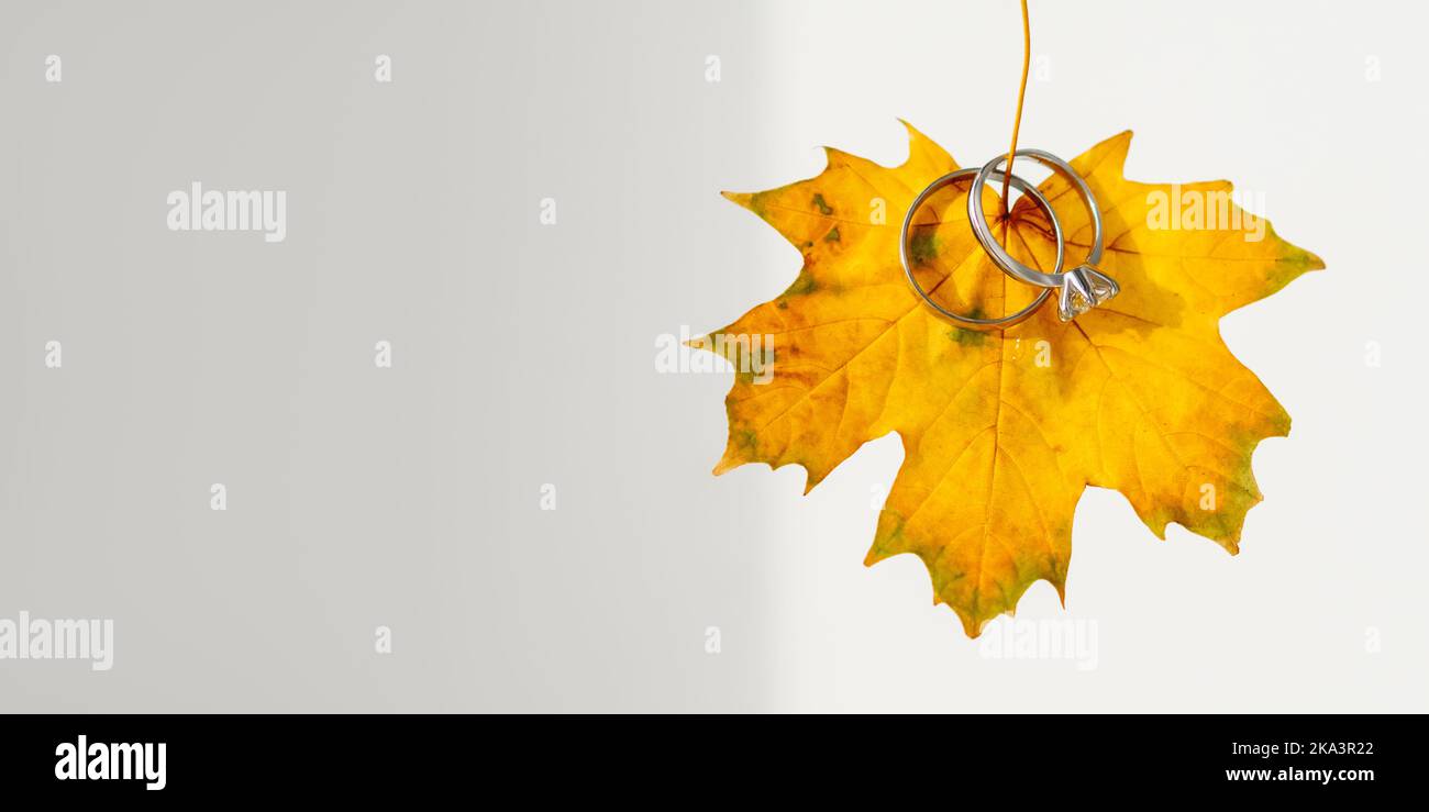 Bright yellow maple leaf with pair of wedding rings. Engagement ring ...