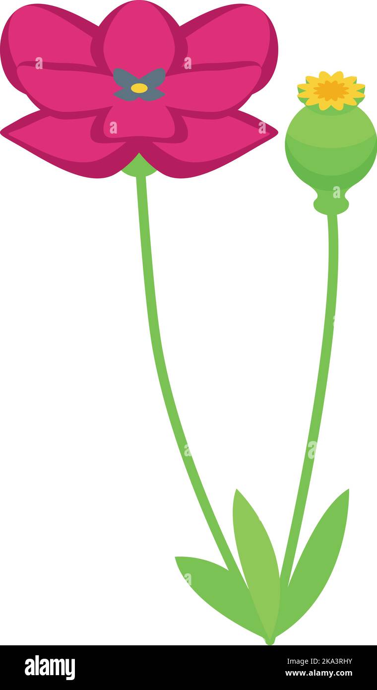 Poppy flower icon isometric vector. Travel landmark. Culture flag Stock ...