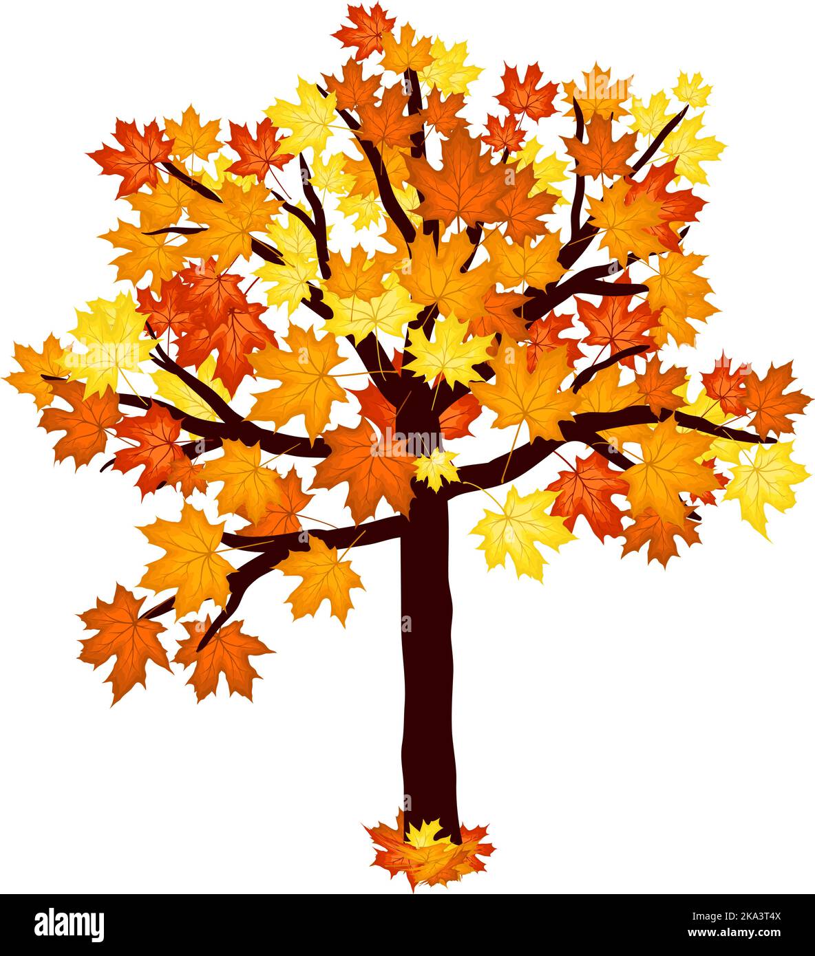 Autumn maple tree with bright leaves in warm color tone for shopping ...