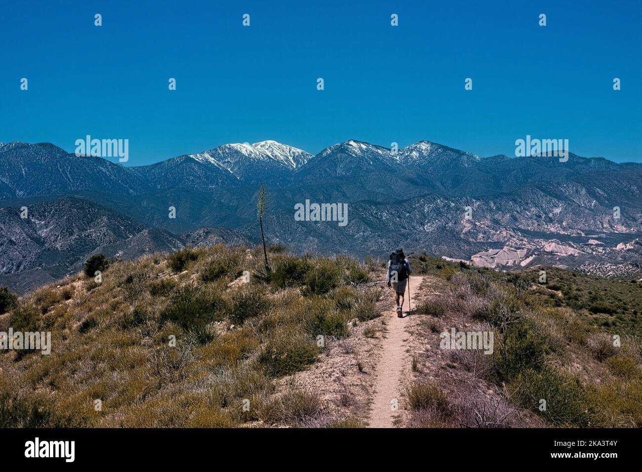 Looking out at Mount Baden-Powell and the San Gabriel Mountains ...