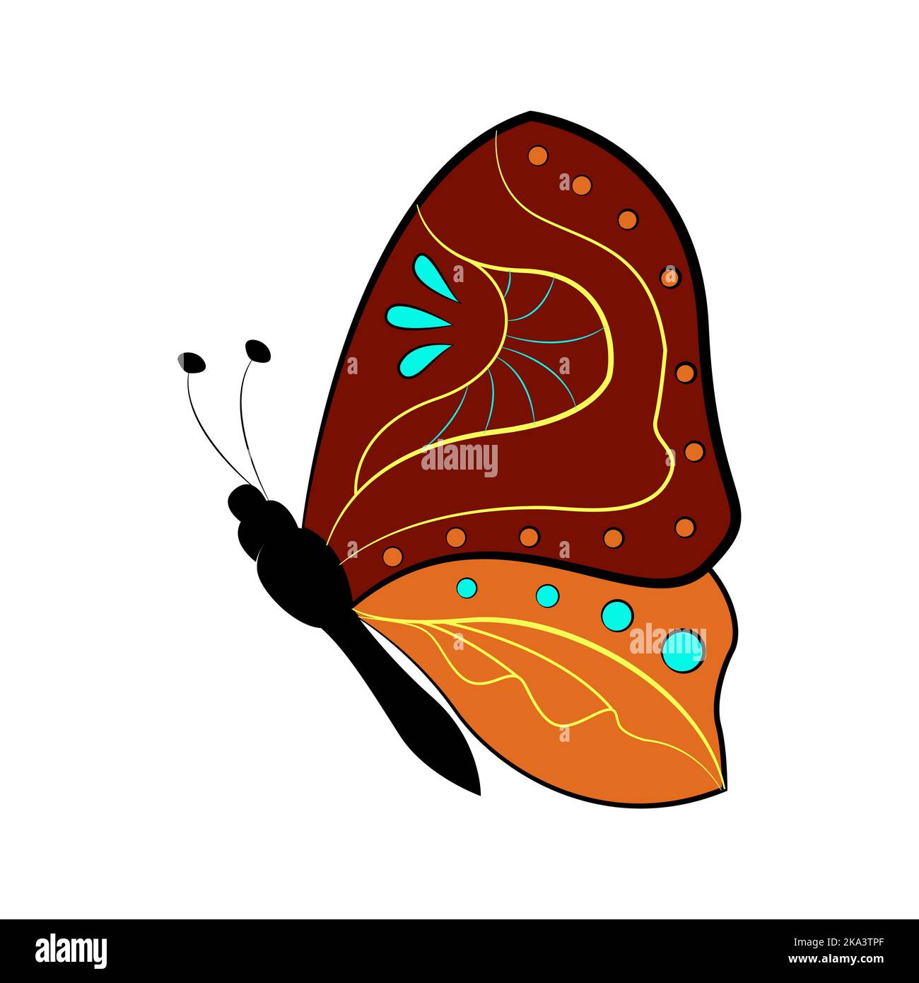 Butterfly exotic winged insect, vector illustration. Colored butterfly ...