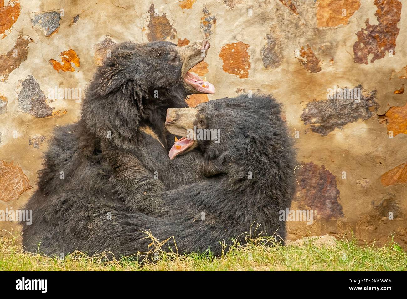 Violent world hi-res stock photography and images - Alamy