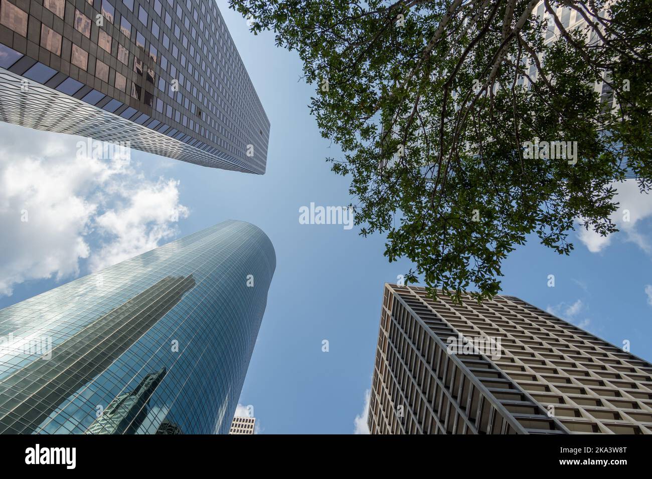 A scenic view of beautiful skyscrapers in Downtown Houston, Texas in ...