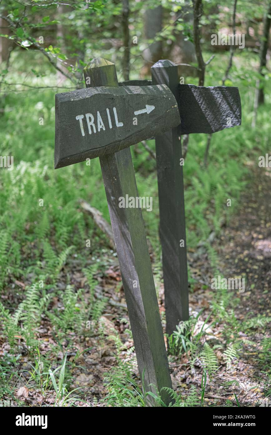 A vertical shot of a wooden trail signpost pointing toward on a hill ...
