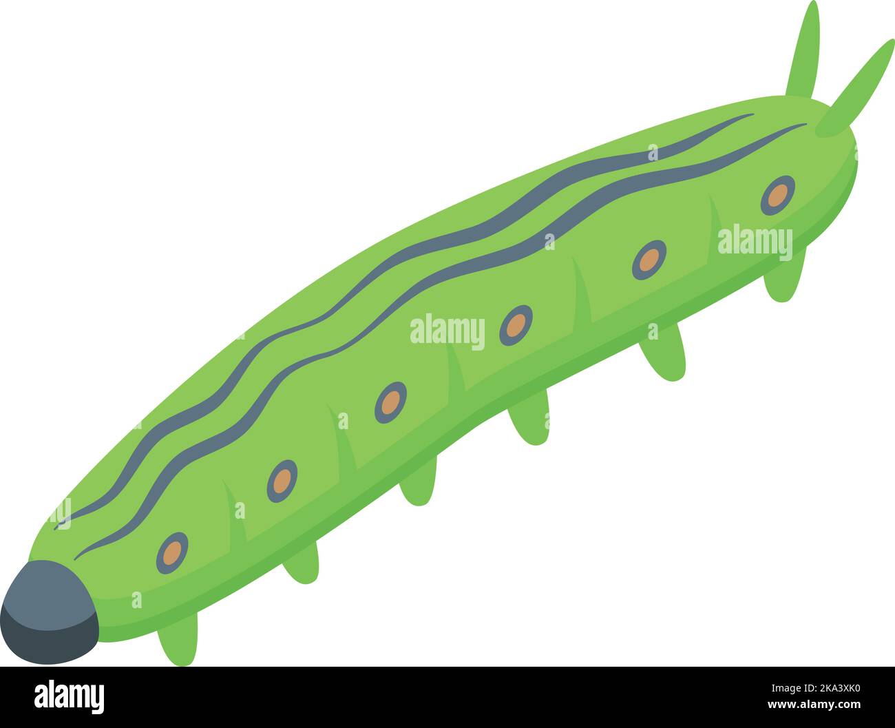 Green worm icon isometric vector. Cute garden. Animal nature Stock ...