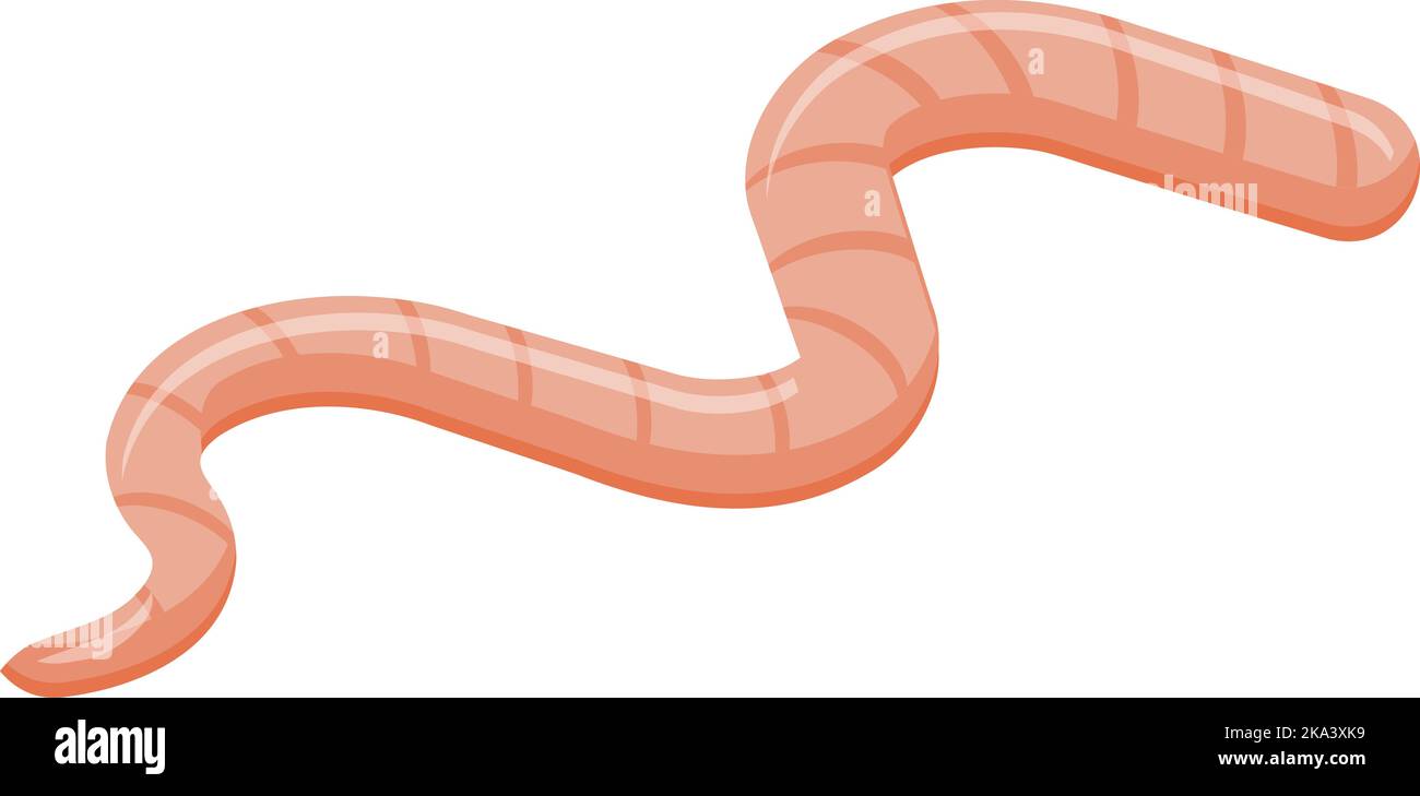 Gound worm icon isometric vector. Garden worm. Dirt soil Stock Vector ...