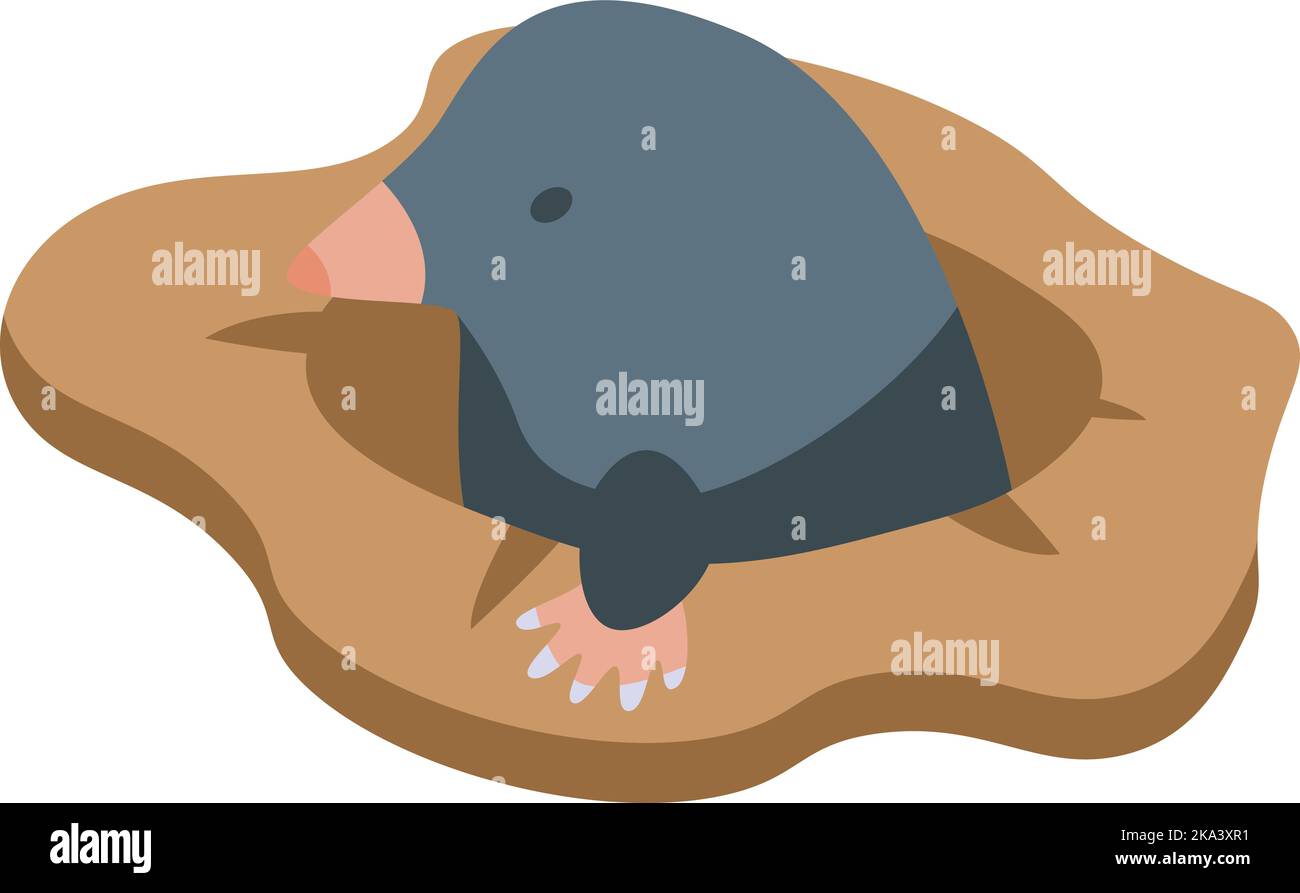 Hollow earth map Stock Vector Images - Alamy