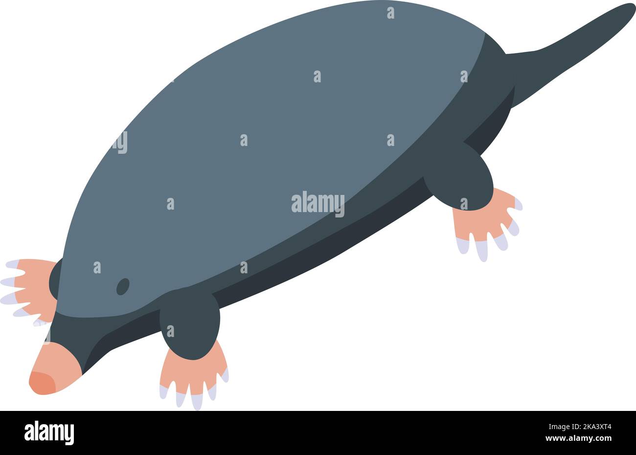 Hollow earth map Stock Vector Images - Alamy