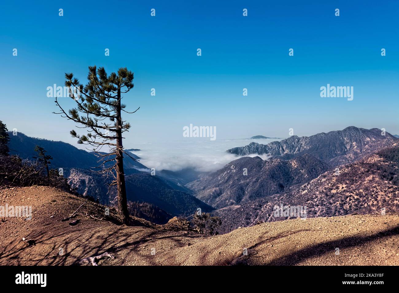 Sea of clouds seen from Mount Baden-Powell, Pacific Crest Trail ...