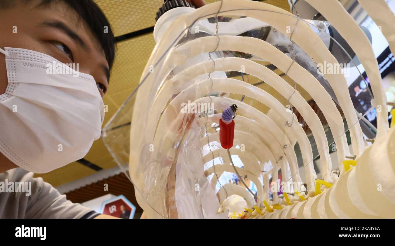 CUHK INNOVATION DAY; Intelligent Magnetic Anchored and Guided Endoscope ...