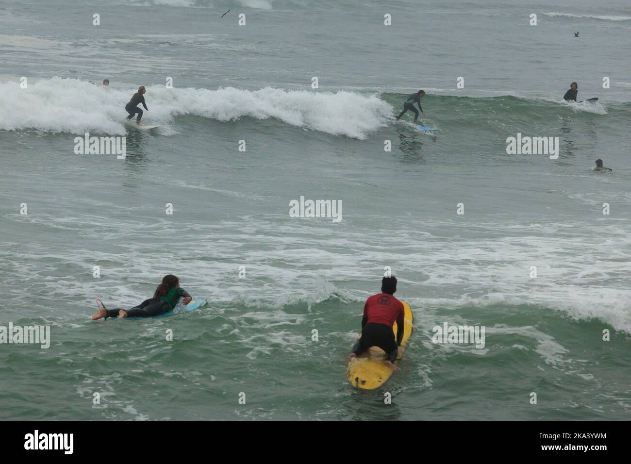 The surfers enjoying ocean waves in Lima, Peru Stock Photo - Alamy