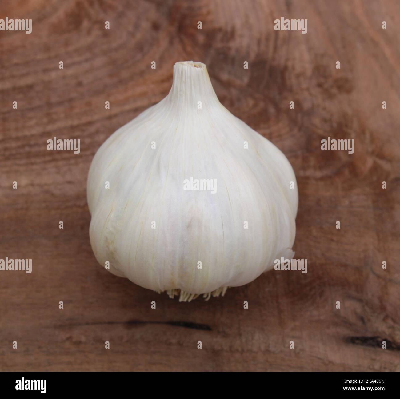 Silverskin garlic hi-res stock photography and images - Alamy