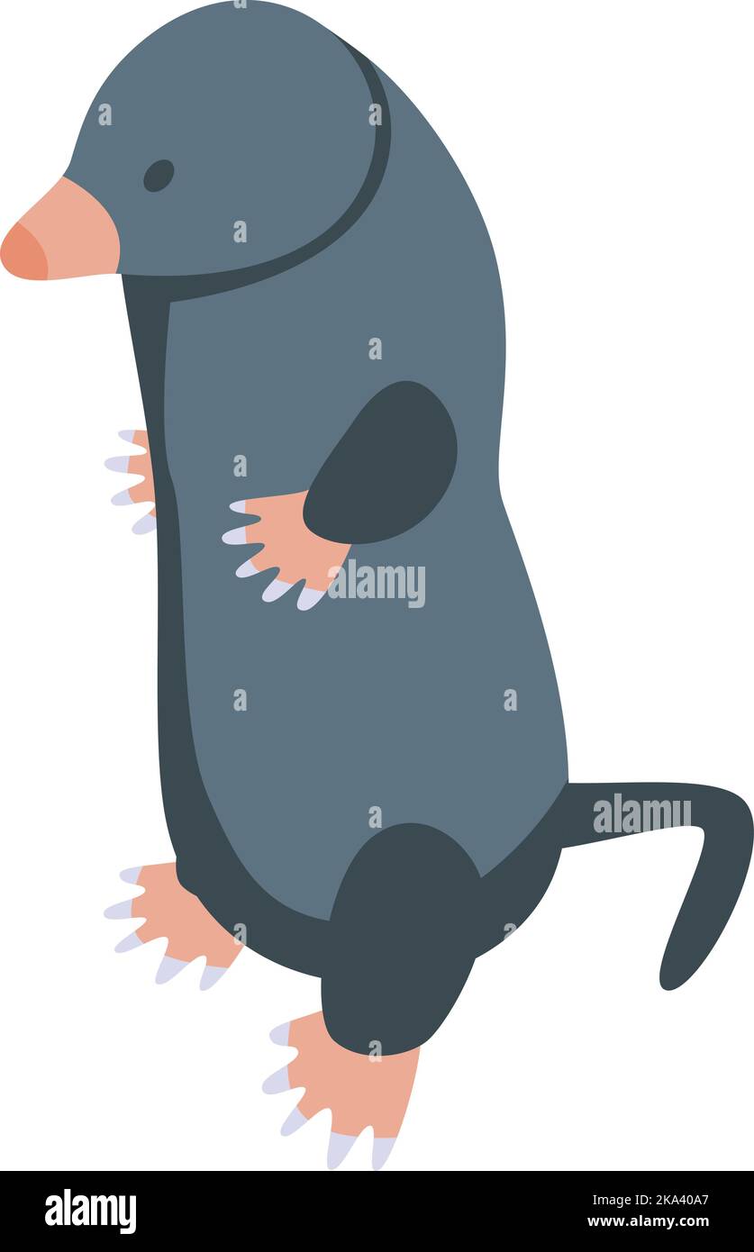 Zoo mole icon isometric vector. Cute animal. Ground character Stock ...