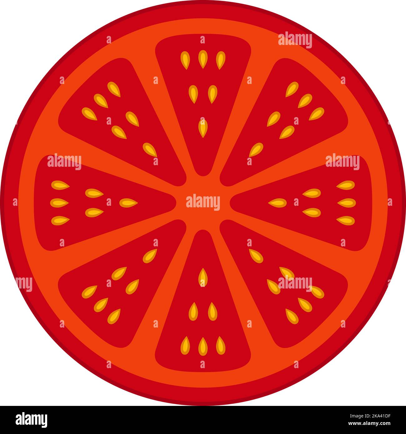 Tomato slices. Healthy and delicious food. Vector graphics on a white ...