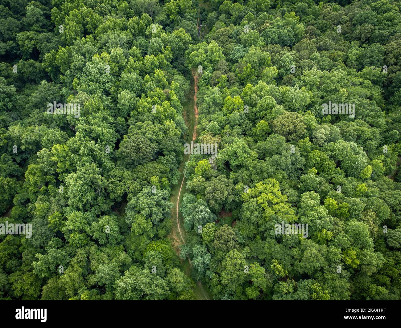 Aerial view dirt road winds hi-res stock photography and images - Alamy