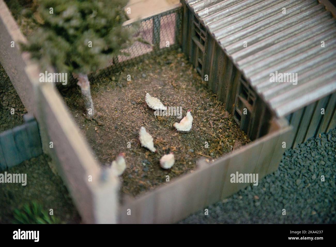 Overhead view of a model of chickens in a chicken coop Stock Photo - Alamy