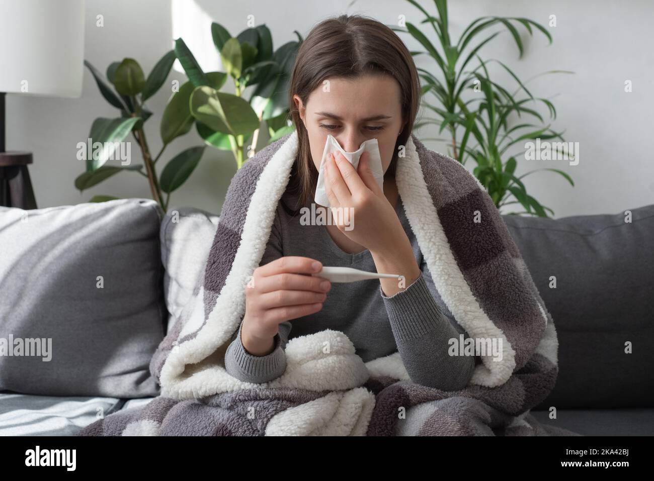 Seasonal contagious grippe illness concept. Ill woman covered plaid ...
