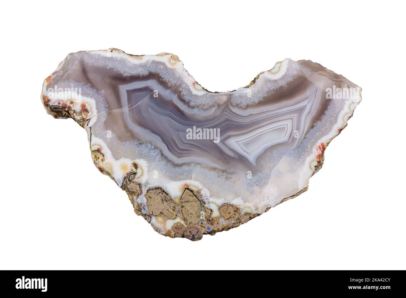 mineral gray agate in close-up section isolated on a white background ...