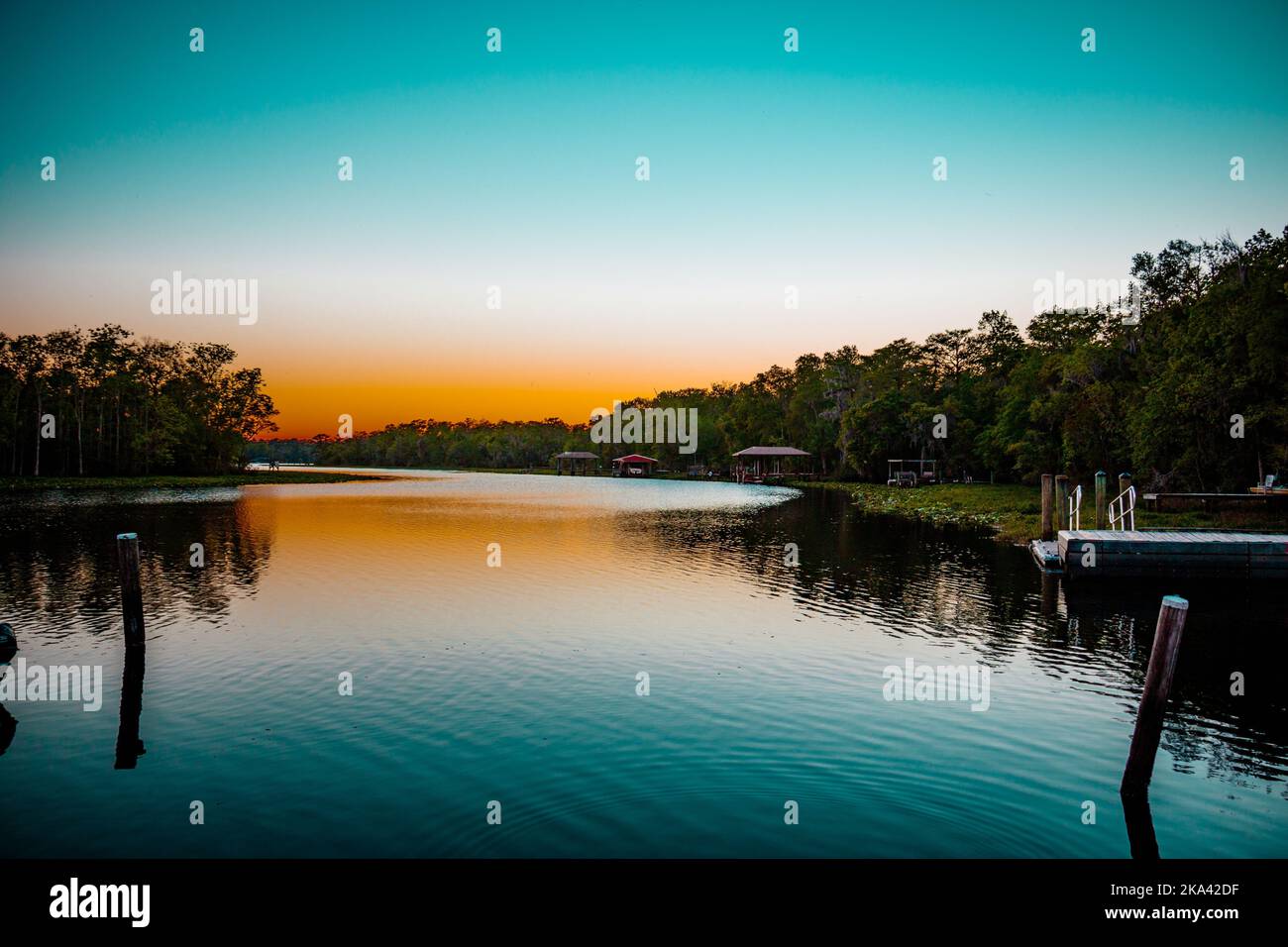 A beautiful shot of trees reflecting in the river in the sunset Stock ...